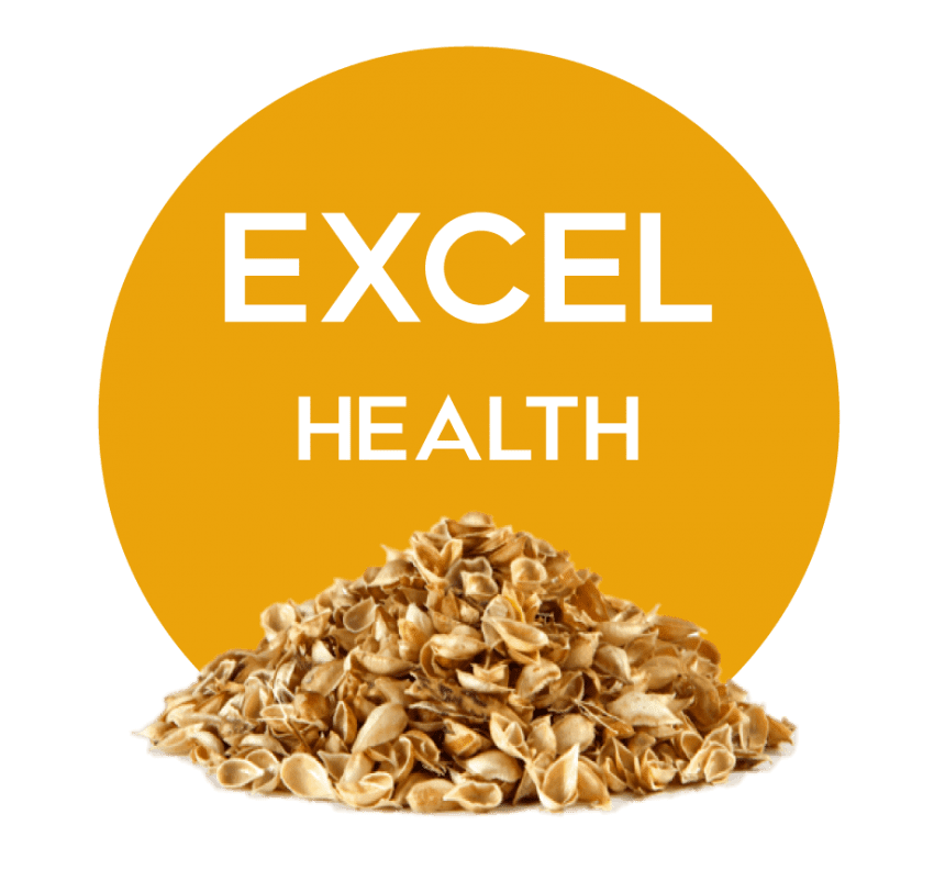 HEALTH | Excel Supplements